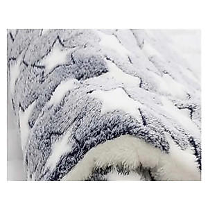 ITOMEN Pet Bed Pet Blanket Winter Thickened Soft Pet Fleece Pad Cat and Dog Pad Kennel Blanket Pet Bed Quilt Comfort (Color : Blue Star, Size : 32x25cm)