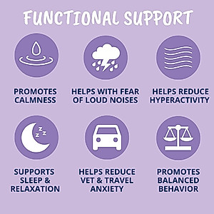 Under The Weather Calming Powder for Dogs | Vet Formulated All-Natural Calming Supplement for Dogs | Help Reduce Stress & Anxiety for Dogs | 120 Servings