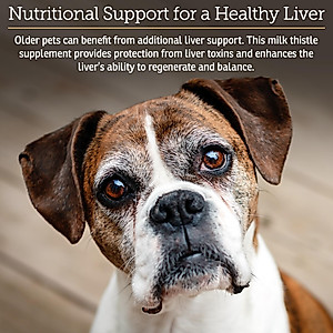 Rx Vitamins Hepato Support for Dogs & Cats - Liver Support Supplement with Milk Thistle for Dogs and Cats - Hepatic Dog Supplement Enriched with Vitamin B Complex - 180 Capsules