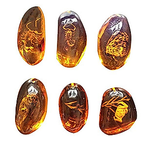 VORCOOL 5pcs Amber Fossil with Insects Samples Stones Crystal Specimens Home Decorations Collection Oval Pendant (Random Pattern)