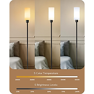 EDISHINE LED Corner Floor Lamp with Glass Lampshade, Modern Dimmable Reading Light with Remote, 65" Standing Tall Lamp for Living Room, Bedroom, Office, Bulb Included (Black)