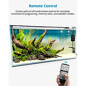 NICREW RGB+W 24/7 LED Aquarium Light with Remote Controller, Full Spectrum Fish Tank Light for Planted Freshwater Tanks, Planted Aquarium Light with Extendable Brackets to 18-24 Inches, 17 Watts