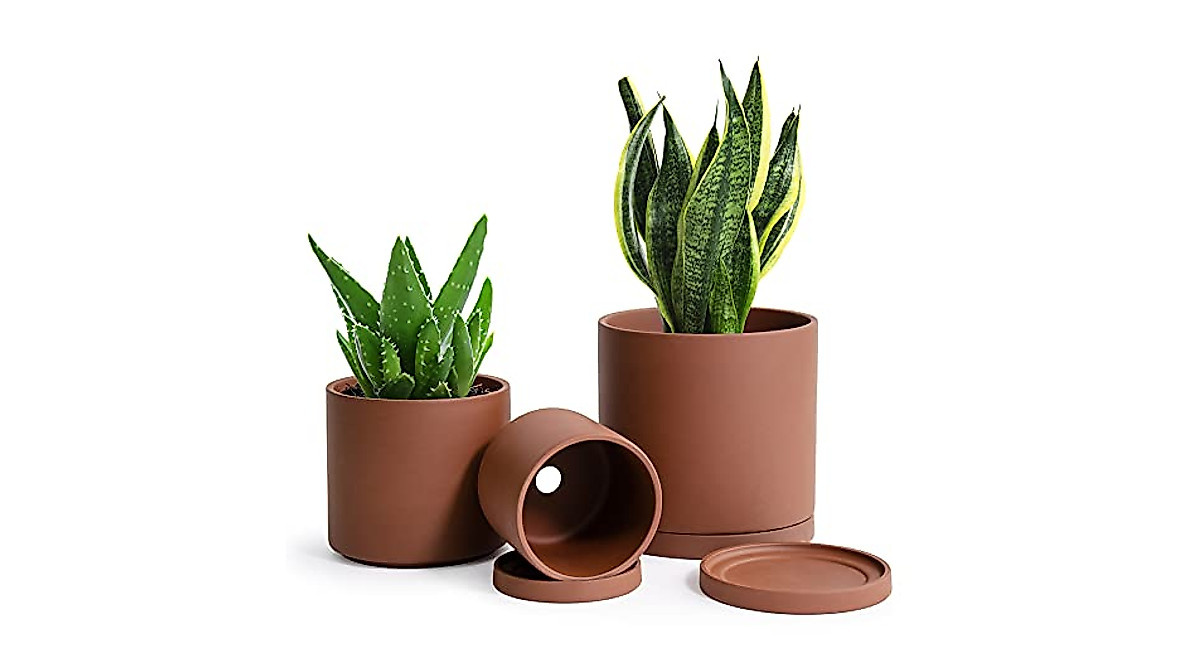 D'vine Dev Terracotta Pots Set – Stylish Planters