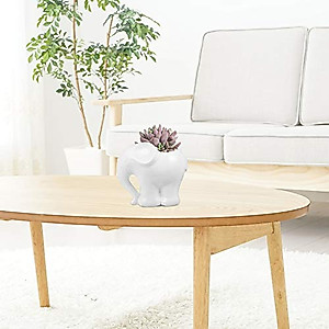DOITOOL Cute Elephant Flower Pot, Succulent Planter Flower Pot for Cactus Bonsai Garden Decoration, Modern White Ceramic Flower Plant Containers for Home Garden Office Desktop Decoration (White)