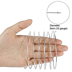 Tenn Well 2mm Aluminum Wire, 100 Feet 12 Gauge Sculpting Wire, Bendable Metal Wire for Armature, Jewelry Making, Doll Making, Crafting, Modeling, Bonsai Training