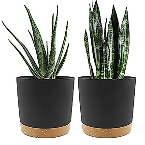 QCQHDU Plant Pots Set of 2 Pack 8 inch,Planters for Indoor Plants with Drainage Holes and Removable Base,Saucer Modern Decorative for Outdoor Garden Planters(Dark Grey 8in)