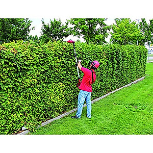 EINHELL GE-HC Power X-Change 18-Volt Cordless Telescoping Garden Multi-Tool, Interchangeable 8-Inch Pole Saw and 18-Inch Hedge Trimmer, Tool Only (Battery and Charger Not Included)