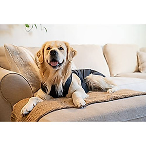 Shed Defender Recovery Suit for Dogs - Seen on Shark Tank, Post-Surgery Dog Onesie, Vet Approved, Anxiety Shirt, E-Collar Alternative, Calming Vest Jacket, Covers Hot Spots & Abdominal Wound, Bodysuit