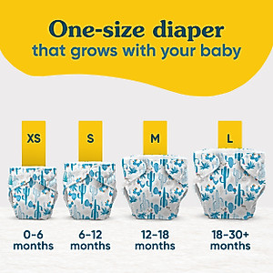 Fleece Reusable and Washable Cloth Diaper System, 1 Diaper and 2 Inserts, Mermaid Zoe, One Size
