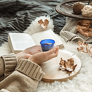 Birchland Espresso Cups Set of 4, Double Wall Espresso Glass Set of 4, Insulated Shot Glass, Espresso Shot Cups, Insulated Espresso Mugs, 2.7 OZ. (Sea Blue)