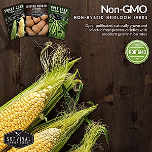 Survival Garden Seeds Three Sisters Collection Seed Vault - Non-GMO Heirloom Seeds for Planting Vegetables - Sweetcorn, Butternut Winter Squash & Pole Beans for Growing on Your Homestead