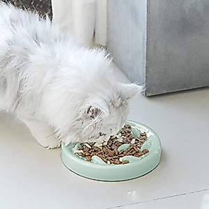 Slow Feeder Bowl for Cats and Small Dogs,Cilkus Fish Pool Design, Fun Interactive Bloat Stop Puzzle Feeder Bowl Healthy Eating Diet Made of Melamine Food Grade Material Dishwasher Safe (Small, Green)