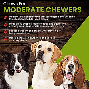 Sancho & Lola's Bully Sticks for Dogs Standard 9.5oz (10-12 Count) Made in USA - No Antibiotics No Growth Hormones, High-Protein Beef Pizzle Dog Chews