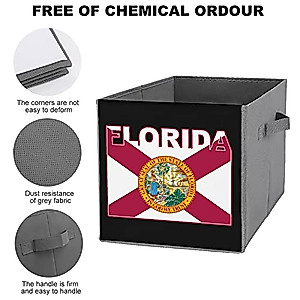 Florida State Flag Large Cubes Storage Bins Collapsible Canvas Storage Box Closet Organizers for Shelves