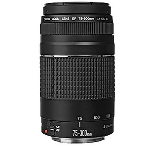 EOS RP Mirrorless Digital Camera with RF 24-105mm f/4-7.1 STM Lens + 75-300mm F/4-5.6 III Lens + 420-800mm Super Telephoto Lens + 128GB Memory + Case + Tripod + Filters (44pc Bundle)