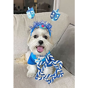 Midlee Star of David 6.5" Rope Dog Toy