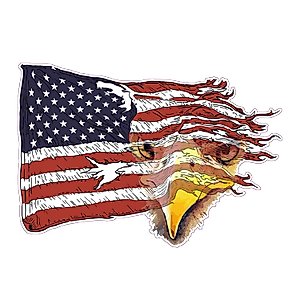 3 pcs American Bald Eagle Flag, 2 inches, Hard Hat Sticker Patriotic Worker Decal, Helmet Label, Laptop, Phone