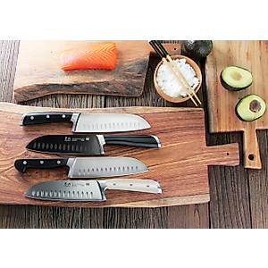 Cangshan TV2 Series 1020038 14C28N Swedish Steel Forged Chef Knife, 8-Inch