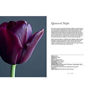Tulips: Beautiful Varieties for Home and Garden