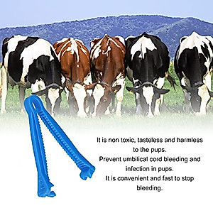 Camidy 100pcs Disposable Umbilical Cord Clamp Whelping Kit Welping Box for Puppy Kittens Cow Livestock Sheep
