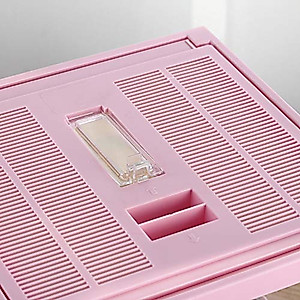 crapelles Reptile Tank Color Pink Spider Terrarium Container Tarantula Box cage Gecko Habitat Insect Enclosure Frog Carrier Tortoise Snail Container Fish Bowl Hermit Crab House Cricket breeding Box