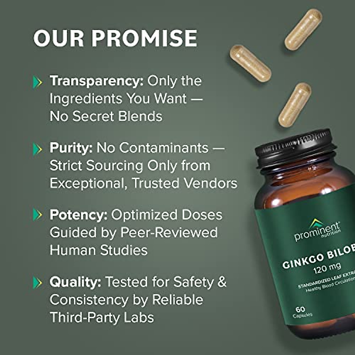 Prominent Nutrition Ginkgo Biloba 120mg - Ginkgo Biloba Leaf Extract, Herbal Supplements to Help Support Memory & Focus- Vegan, Non-GMO, Gluten-Free, Soy-Free, 60 Day Supply