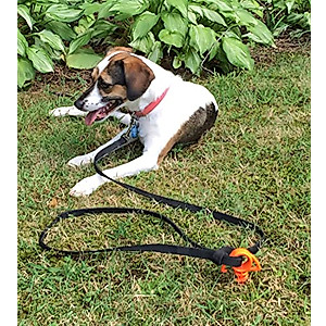 Orange Screw: The Ultimate Ground Anchor | Small 4 Pack Tent Stakes | Made in USA (Orange)