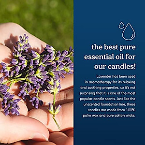 GOODLIGHT Lavender Tea Lights 16 Count, 16 CT