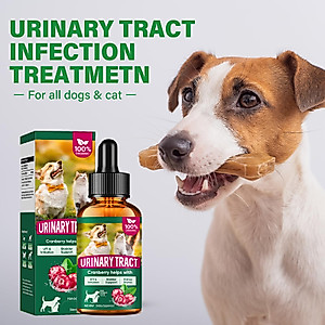 Cat & Dog UTI Treatment - Urinary Tract Support for Pets，Cranberry Kidney and Bladder Supplements, Pet Renal Health Care, Prevention and Treatment
