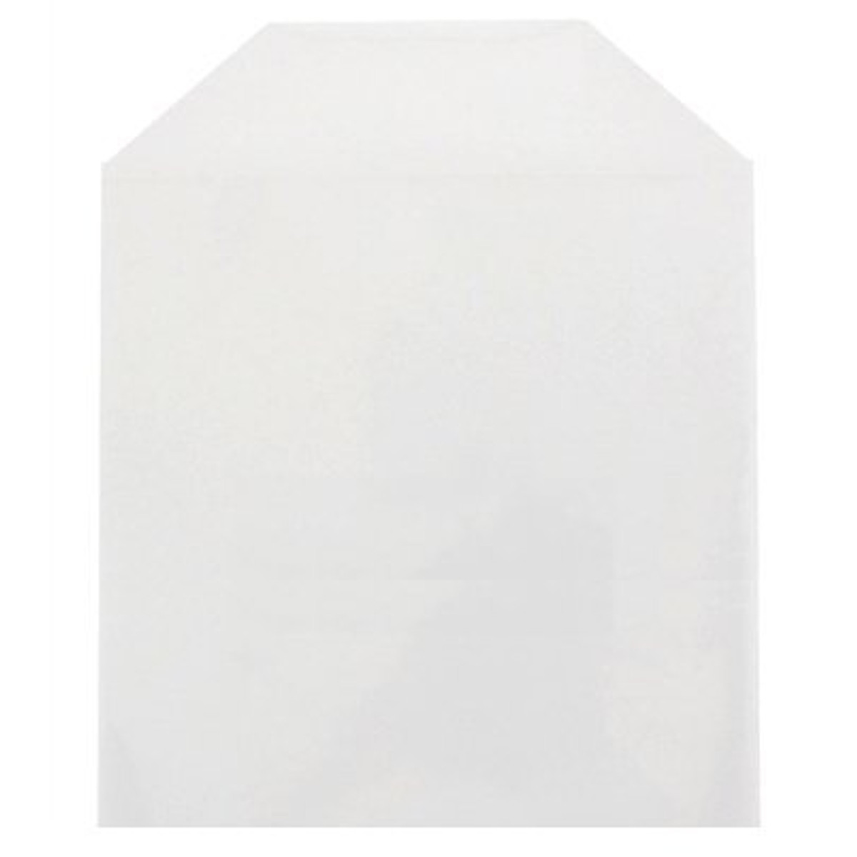 50 CheckOutStore® Clear Storage Pockets (6.25 x 6.25)