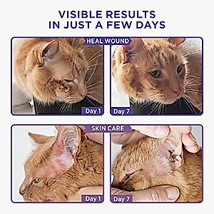 HICC Dog Wound & Skin Care Spray, HOCl Formula Skin Repair & Healing Spray for Minor Cuts, Scrapes, Rashes, Hot Spots Treatment, Soothe Itching, Safe for All Animals, 10.1 Ounces