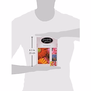 Birthday - "Rejoice" - KJV Scripture Greeting Cards - Boxed - (Box of 12)