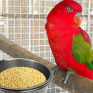 WACLTE Bird Bowl & Chewing Toy Set - 2 Pack 3.9" Stainless Steel Feeder Cups with Clamp for Cage - Funny Ladder Hanging Toy with Bell - for Parrot, Parakeet, Budgies, Conure Ferrets, Small Animal