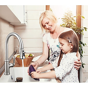 DJS Kitchen Faucet with Pull Down Sprayer, Single Handle Stainless Steel Pull Out Kitchen Sink Faucet, Brushed Nickel DJS-PK-009N-DP