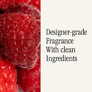 Pura & Becki Owens Home Scent Refill - Smart Home Air Diffuser - Up to 120-Hours of Premium Fragrance per Refill - Household Essential - Clean Diffuser Fragrance - 2 Pack, Vanilla Berry