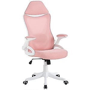 CEMKAR Ergonomic Office Chair, Home Office Desk Chairs with Thickened Cushion Waist Support and Adjustable Headrest Flip Arm, Metal Base Adjustable Mesh Swivel Designer High Back Office Chair (Pink)