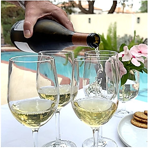Lily's Home Unbreakable Chardonnay White Wine Glasses, Made of Shatterproof Tritan Plastic, For Indoor and Outdoor Use, Reusable and Dishwasher-Safe, Crystal Clear. 12 oz. Each, Set of 2