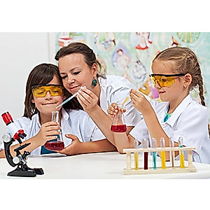 300 Pack 3ML Plastic Transfer Pipettes Eye Dropper