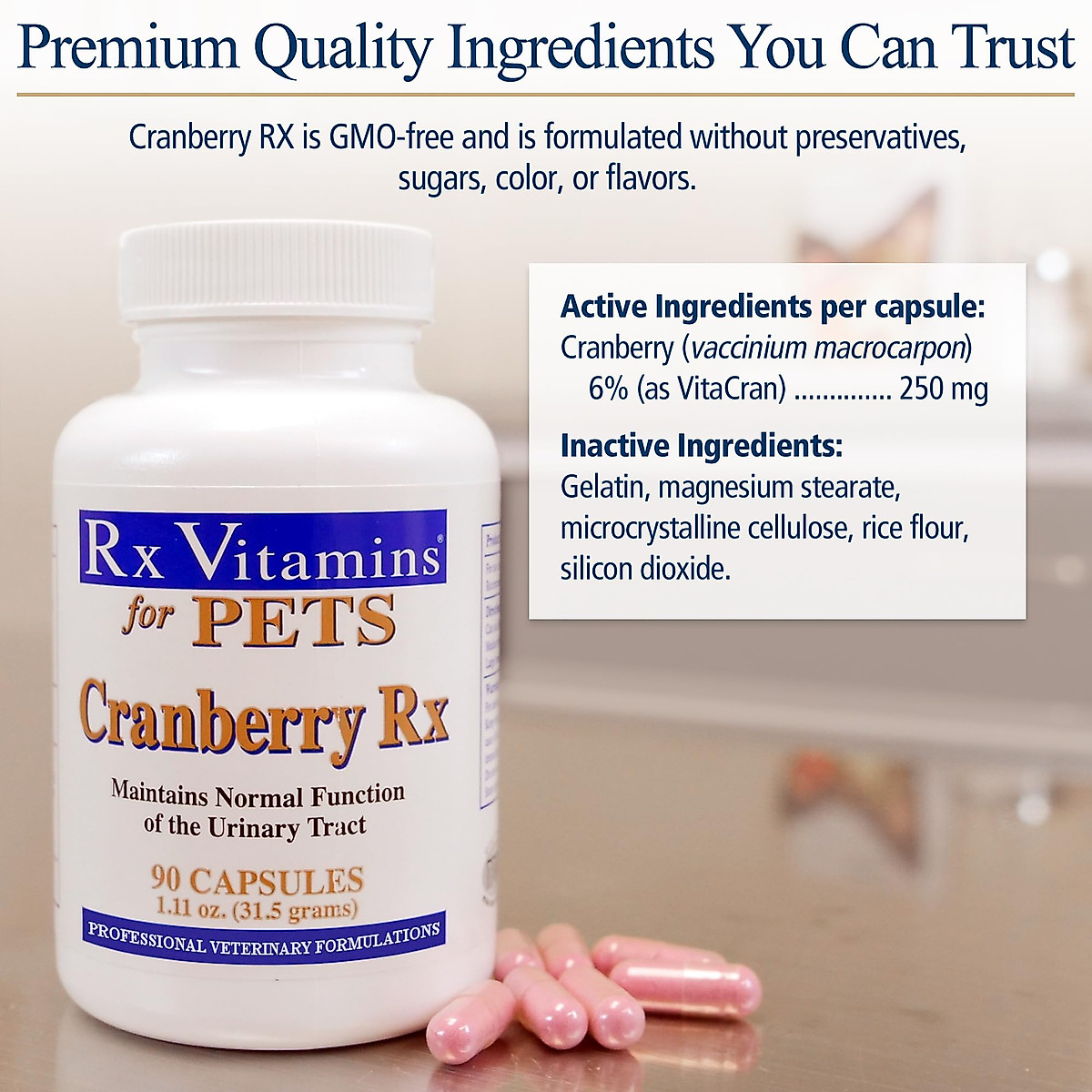 Rx Vitamins Cranberry Pills for Dogs - Cat Urinary Tract Medicine Support - UTI Treatment for Pets - Dog & Cat Urinary Relief Aid - 90 Cap.