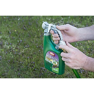 Ortho Weed B Gon Chickweed, Clover & Oxalis Killer for Lawns, 32 Oz. (Pack of 2)