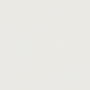 Frenchi Home Furnishing 2 Tier Plant Stand, WHITE