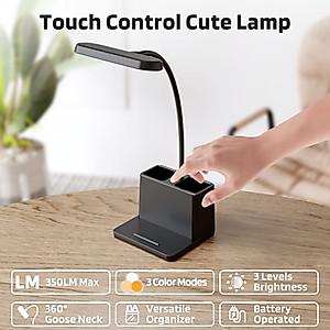 Battery Operated Desk Lamp, Small Desk Light for Home Office, Dunkok Rechargeable Desktop Lamp, LED Portable Lamp with Adjustable Gooseneck, Black Study Reading Lamp for Kids, Charger Adapter Included