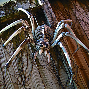 Giant Halloween Skeleton Spider for Halloween Decor, Almost 3 Feet