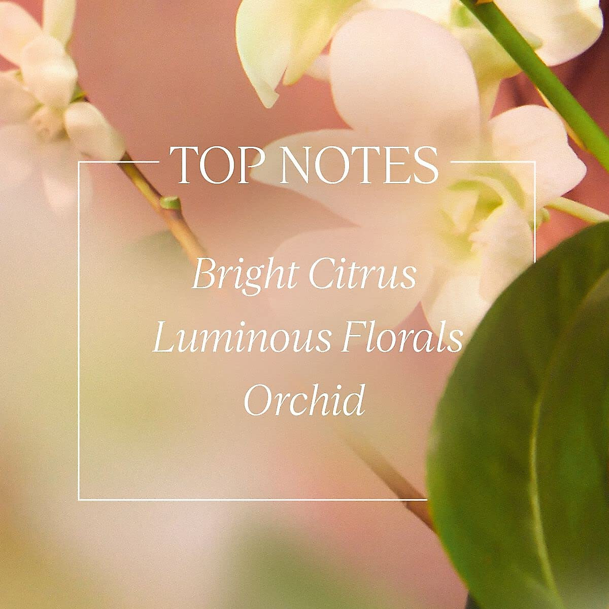 L'occitane Loccitane Neroli & Orchidee Hand Cream , 0.26oz (Pack of 1)