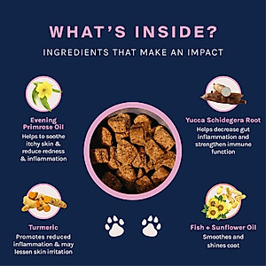 Good Trouble Pets Skin & Coat Supplement for Dogs - Bacon & Chicken Flavor, Promotes Healthy Coat & Skin, 30 Chews for Optimal Results (Packs of 2)