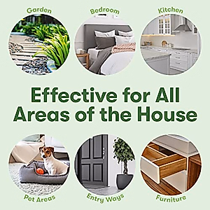 BugMD - Pest Control Essential Oil Concentrate 3.7 oz Plant Powered Bug Spray , Kills Bugs Spiders Fleas Ticks Roaches , Ant Spray Indoor for House, Bed