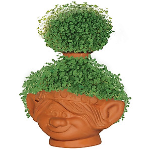Chia Pet Trolls, Poppy World Tour with Seed Pack, Decorative Pottery Planter, Easy to Do and Fun to Grow, Novelty Gift, Perfect for Any Occasion, Terra Cotta
