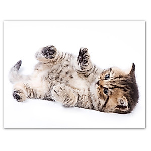 Small World Greetings Playful Kitten Cards 12 Count - Blank Inside with Envelopes - A2 Size (5.5”x4.25”) - Cat Stationery - All Occasion, Thank You, Birthday, and More