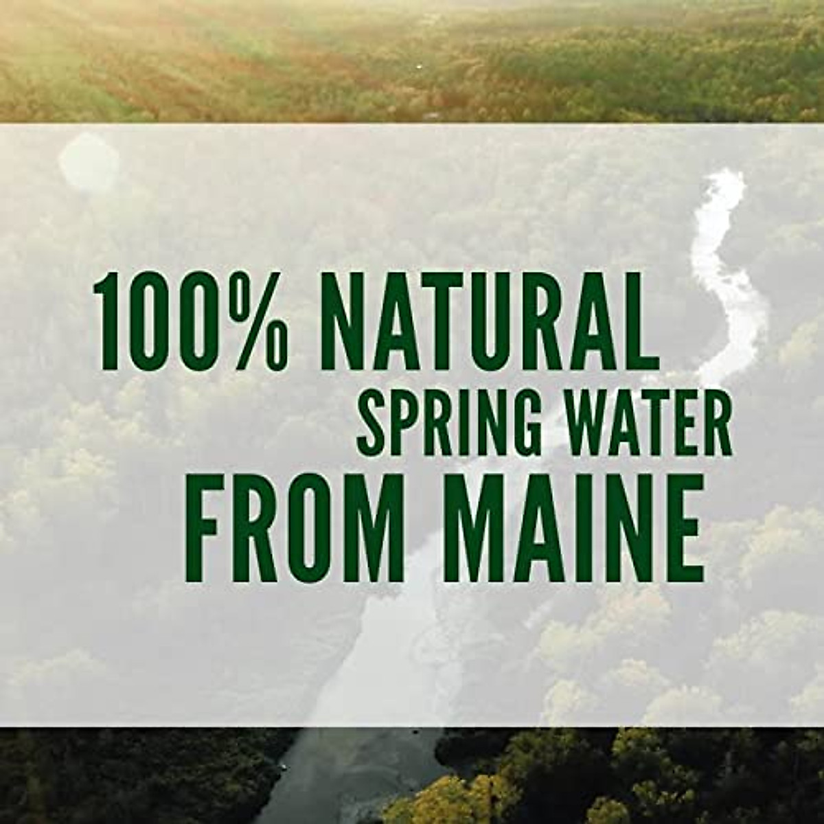 Poland Spring 100% Natural Premium Spring Water - 8 Fl Oz Bottles | Pack of 16