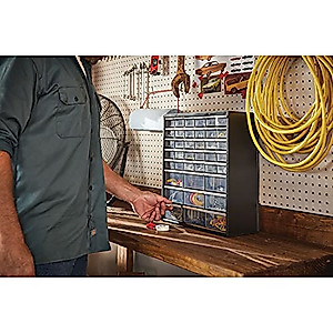 CRAFTSMAN Large Storage Organizer, 39 Compartment, Plastic (CMST40739)